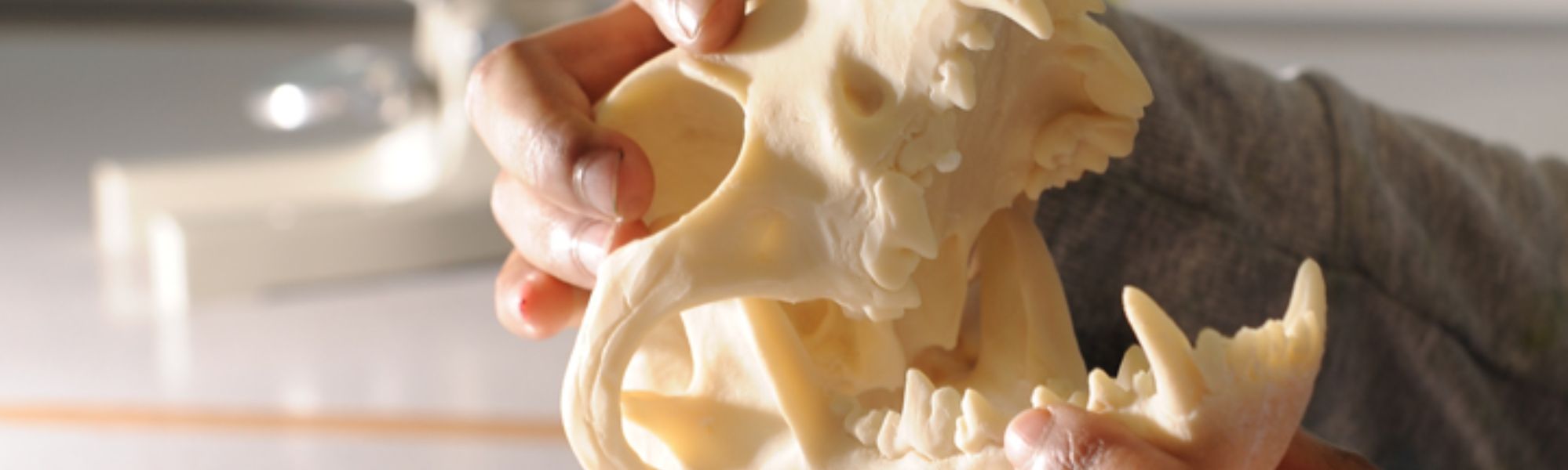 Wider Learning | Cloughside College